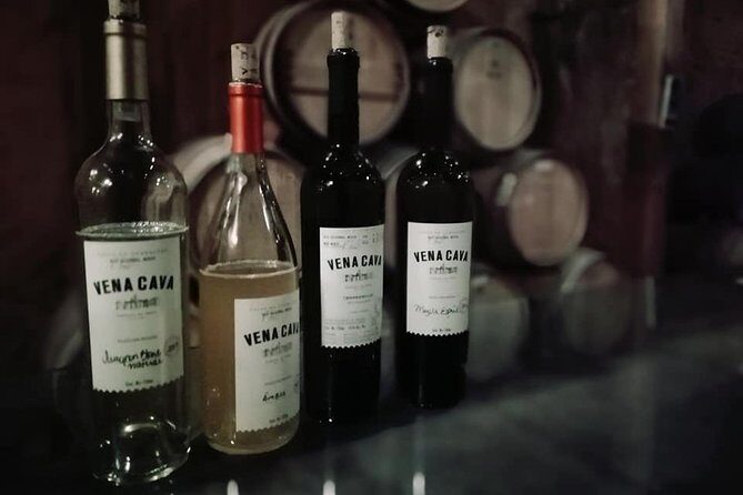 Tourist guide in the Wine Country (Valle de Guadalupe) Ensenada - Frequently Asked Questions