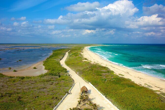 Tours along the beaches of Cozumel Mexico by buggy all inclusive - Exploring Cozumel’s Beaches by Buggy: An All-Inclusive Adventure