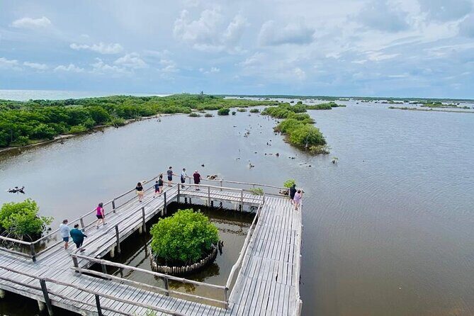 Tours along the beaches of Cozumel Mexico by buggy all inclusive - The Sum Up