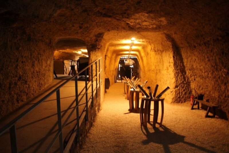 Tours/Amboise: Chambord, Chenonceau Day Trip & Wine Tasting - Why This Tour is Worth Considering