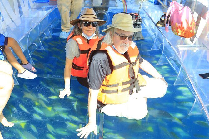 Tours in Cabo, Paseo al Arco and Fin de la Tierra in the only Clear Boat - Final Thoughts