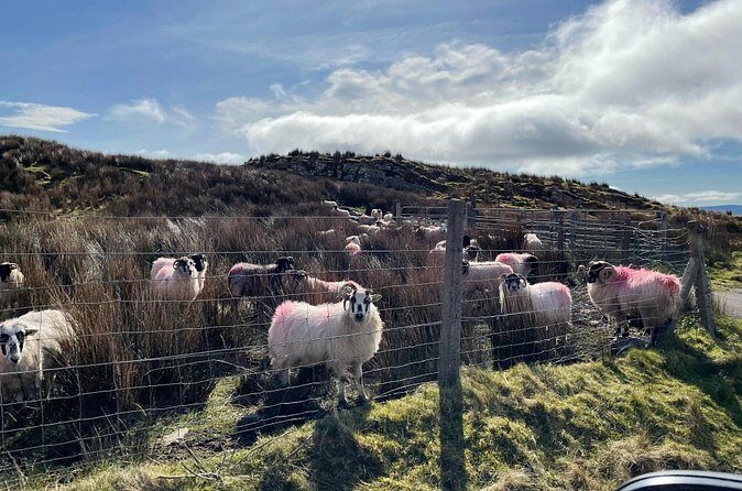 Tours in Ireland at Your Own Pace - Final Thoughts  