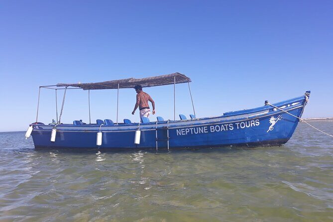 Tours in Traditional Boats - Olhão - Key Points