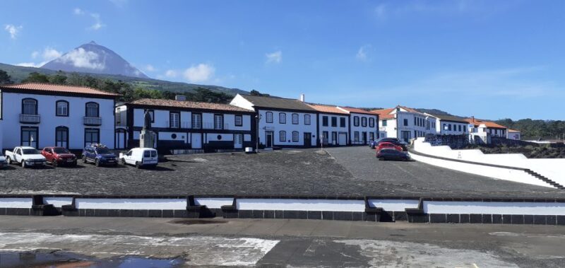 Tours on Pico Island - Cultural and Natural Landscape - Exploring Pico Island: A Natural and Cultural Tapestry