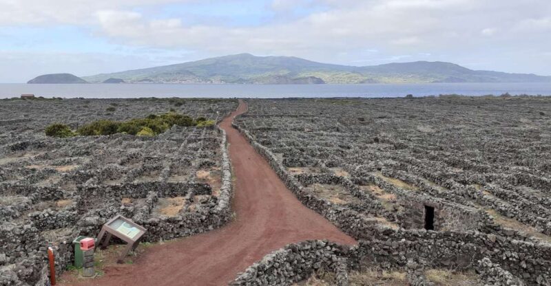 Tours on Pico Island - Cultural and Natural Landscape - Who Will Love This Tour?
