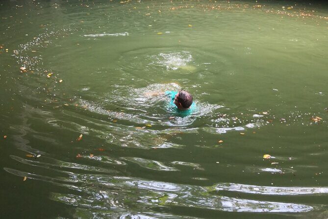 Tours On The Island Cozumel - What Reviewers Are Saying