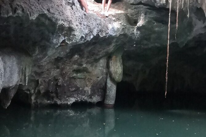 Tours On The Island Cozumel - The Sum Up: Who Will Love This Tour?