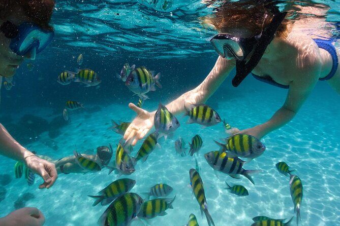 Tours_Miami_Day Trip To Key West From Miami_D662 38439P1 Review - What to Expect from the Miami to Key West Tour