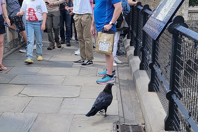 Tower of London: Guided Tour with Thames River Cruise - Practical Tips for Your Tour