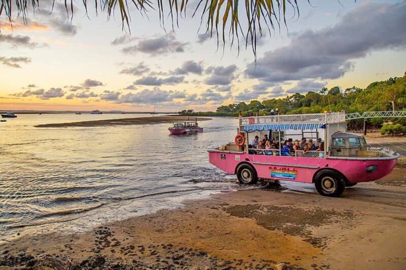 Town 1770: Afternoon Coastline Tour - A Closer Look at the Town 1770: Afternoon Coastline Tour