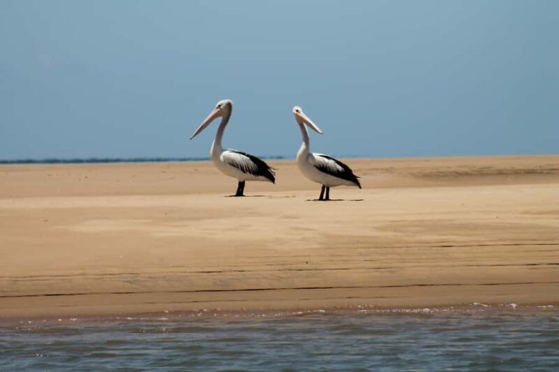 Town 1770: Afternoon Coastline Tour - Frequently Asked Questions