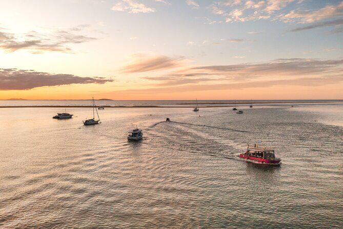 Town of 1770 Afternoon Cruise - Exploring the Town of 1770 Afternoon Cruise: An In-Depth Review