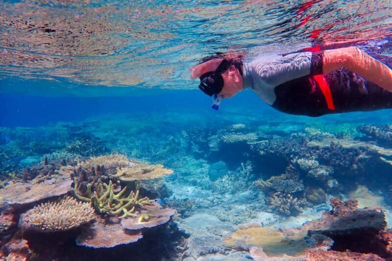 Townsville: Great Barrier Reef and MOUA Snorkeling Day Tour - An In-Depth Look at the Tour Experience
