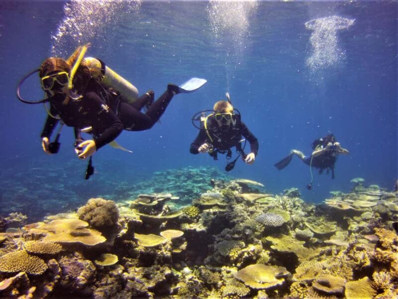 Townsville & Magnetic Island: Reef Explorer Scuba Experience - Authentic Traveler Insights