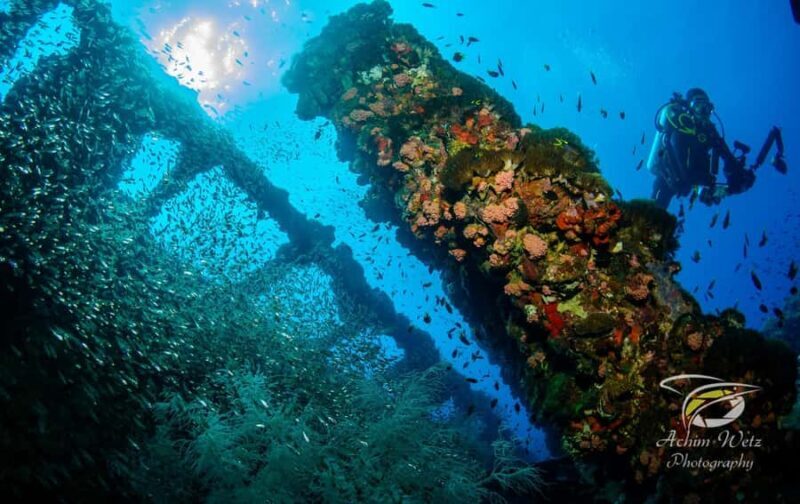 Townsville or Magnetic Island: Yongala Wreck Dive Day Trip - The Value of the Tour: Is It Worth It?