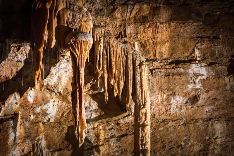 Trabuc: Visit the Trabuc Cave - Key Points