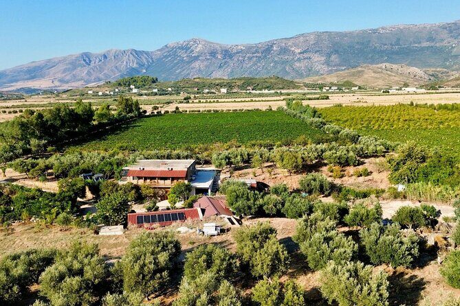 Traditional Albanian Food and Wine Tasting - Key Points