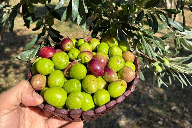 Traditional Albanian Food and Wine Tasting - Frequently Asked Questions