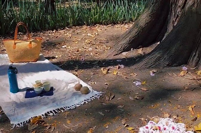 Traditional Chinese Tea Ceremony in the Heart of Mexico City - Who Should Consider This Activity?