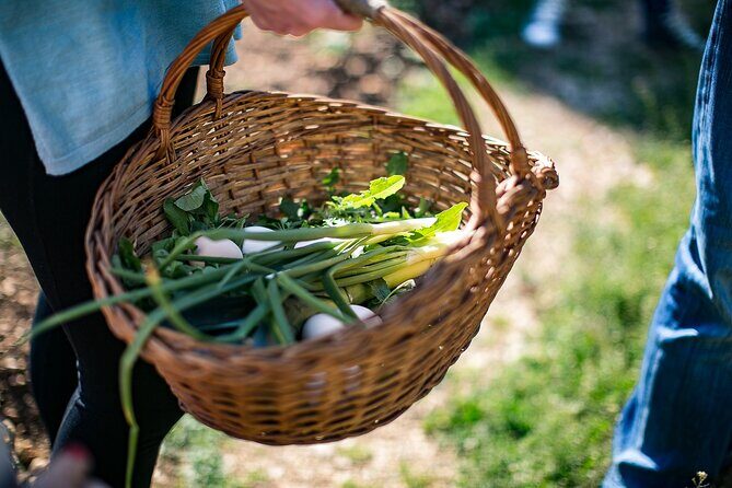 Traditional Cooking Class in Dubrovnik Countryside - Is It Worth the Price?