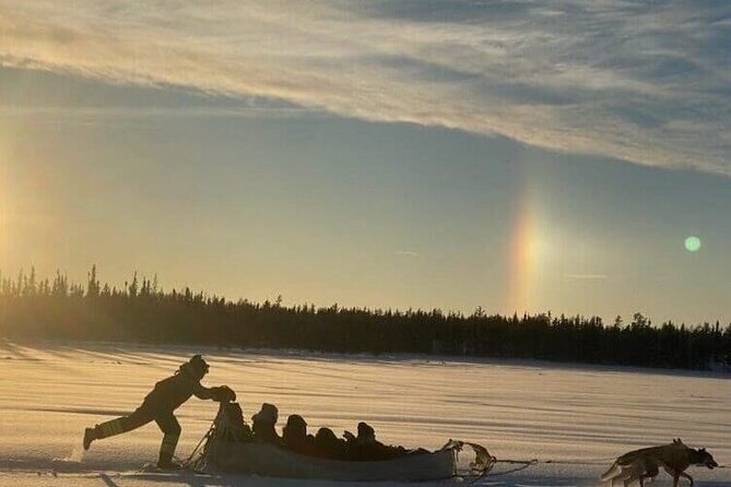 Traditional Dog Sledding Adventure in Yellowknife - Exploring the Experience in Depth  
