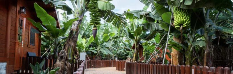 Traditional Gran Canaria: Arucas, Firgas, and Teror - FAQ