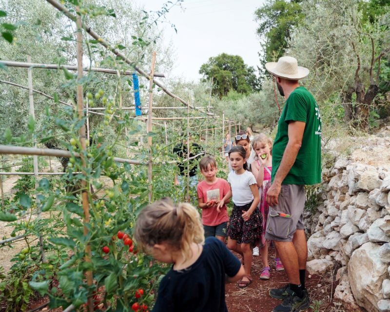 Traditional Greek Cooking Class @ Lefkada Micro Farm - Practical Details and Logistics