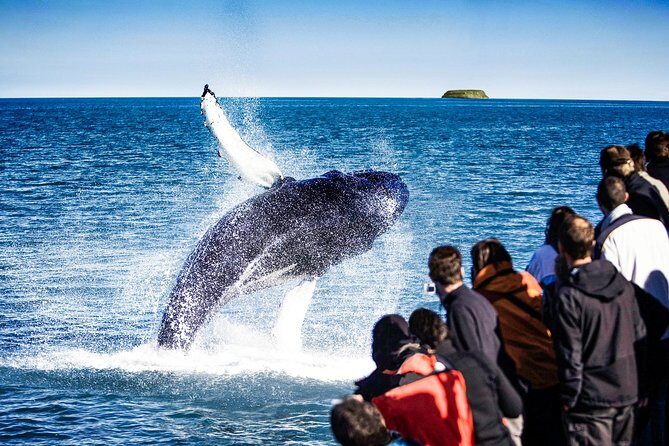 Traditional Oak Ship Whale Watching Tour From Husavik - Introduction: What Makes This Whale Watching Tour Stand Out?