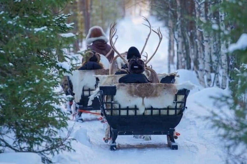 Traditional Reindeer Farm Visit with a Short Sleigh Ride - Key Points
