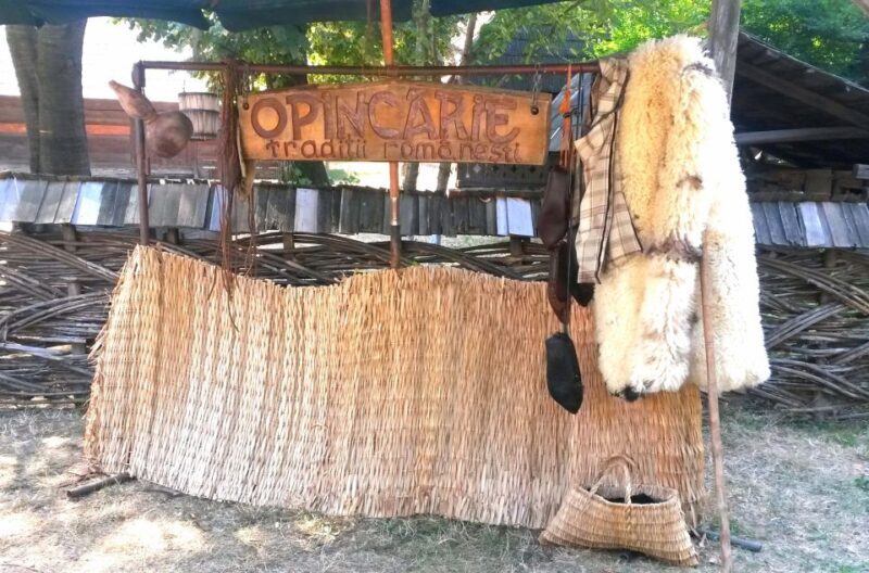 Traditions in Bucharest: Village Museum and Wine Tasting - Logistics and Overall Experience