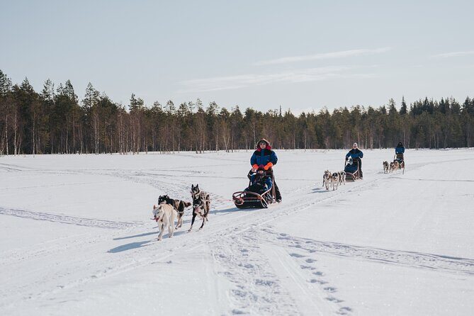 Trail of Tails Step into the Mushing Life in 5KM Husky Safari - FAQs