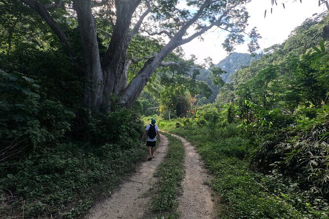 Trail to the Waterfall: A Journey to the Essence of Nature - The Sum Up