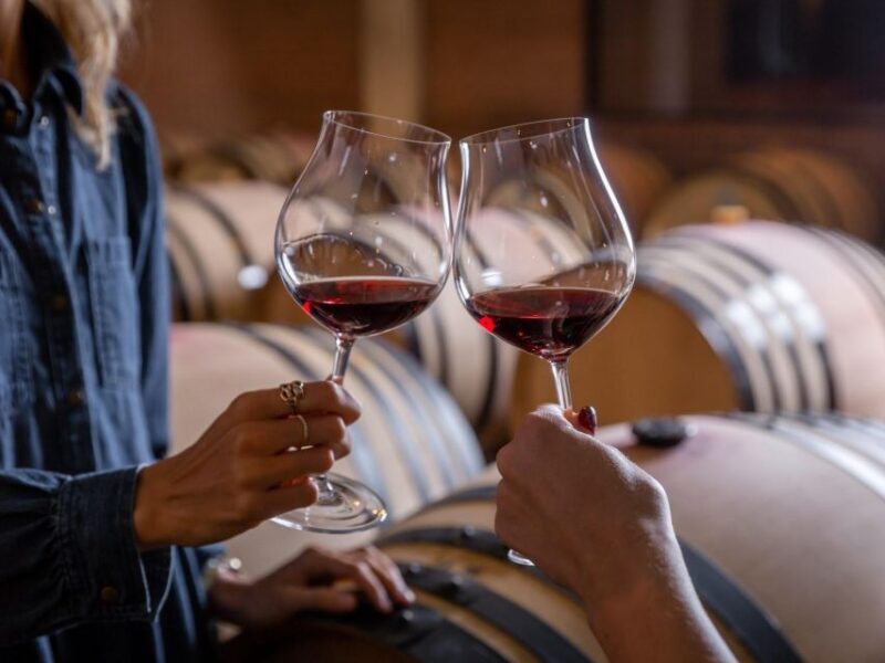 Tramin/Termeno: Winery Tour & Wine Tasting, J. Hofstätter - What Makes It a Good Value?