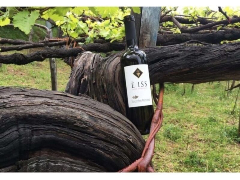 Tramonti: Tenuta San Francesco Wine Tasting - What is the Tramonti: Tenuta San Francesco Wine Tasting?