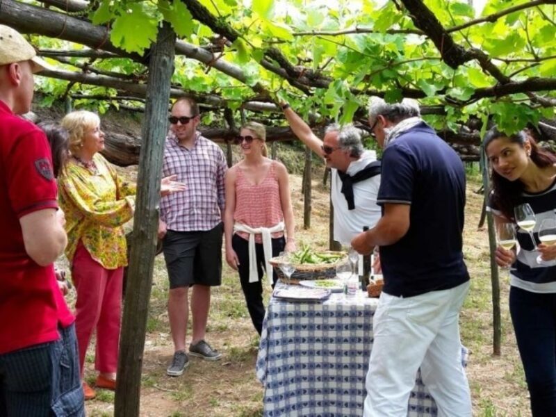 Tramonti: Tenuta San Francesco Wine Tasting - Who Will Love This Tour?