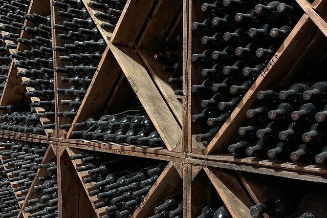 Trani: Wine tasting & Light Lunch in a Vineyard - Who Should Consider This Tour?