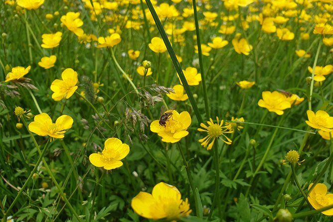 Transfagarasan Highway and Balea Lake E-Bike Tour - Practical Details and Tips