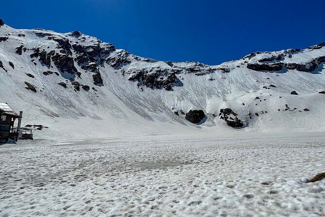 Transfagarasan Highway and Bran Castle Day Trip From Brasov - The Experience from Traveler Reviews
