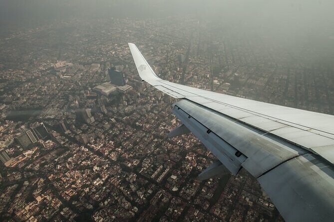 Transfer & assistance one-way from/to Mexico City Airport/hotel - Detailed Breakdown of the Transfer Experience