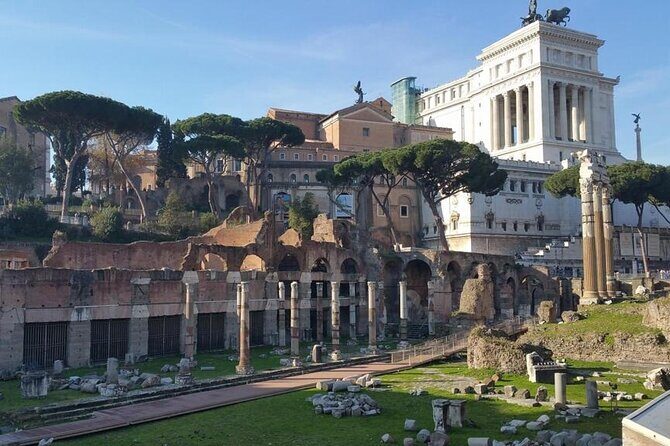 Transfer Civitavecchia Cruise Port>Rome/FCO/or Private Revers - The Sum Up