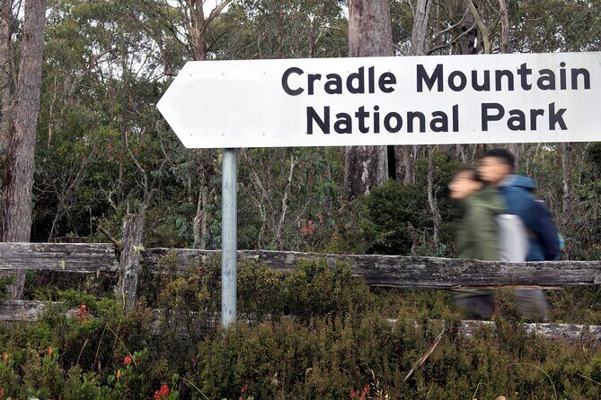 Transfer from Launceston to Cradle Mountain - The Itinerary and What to Expect