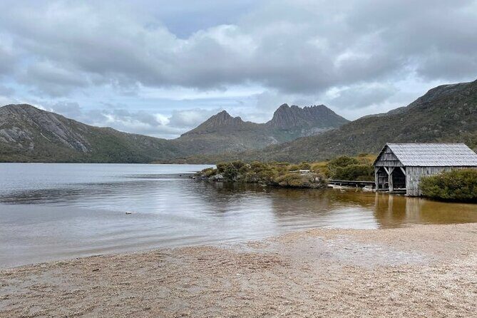 Transfer from Launceston to Cradle Mountain - Why This Transfer Works Well