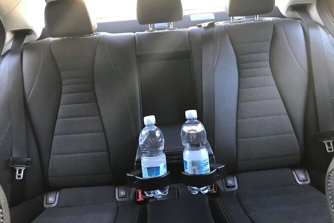 Transfer from the Port of Civitavecchia to Rome - Who Will Love This Transfer?