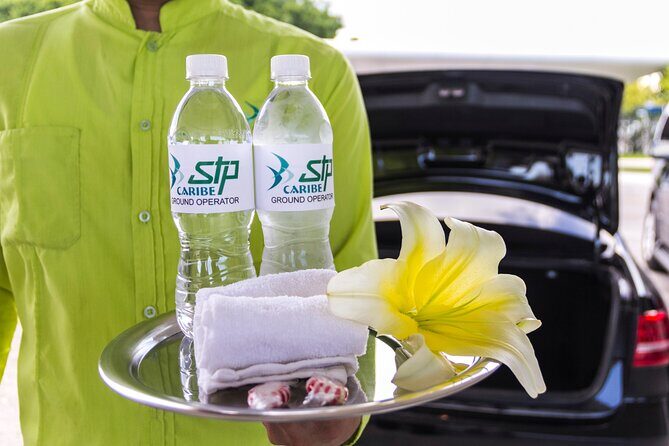 Transfer in Luxury Mercedes Benz Minivan - Final Words