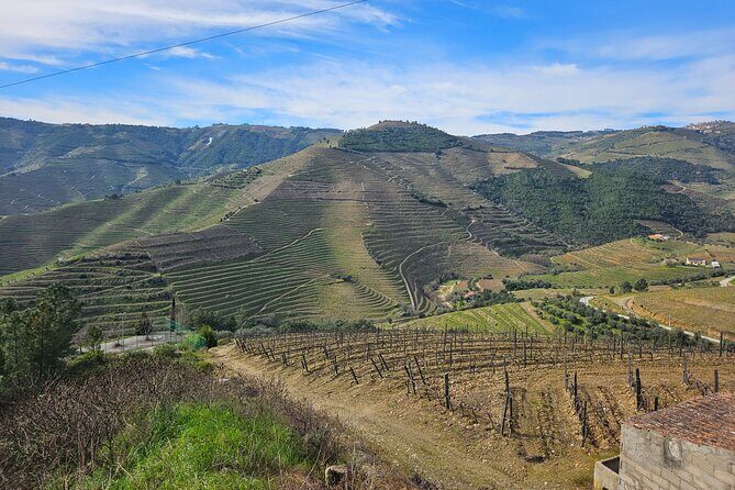 Transfer- Porto to Douro Wine Region (or reverse) - The Sum Up