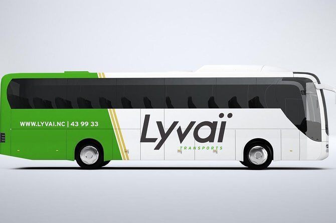 Transfer to the Magenta domestic Airport - Who Will Love This Service?