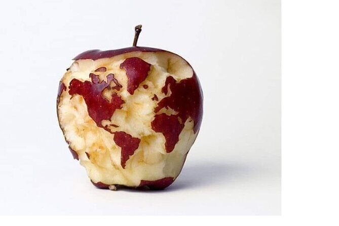 Transfers from Civitavecchia to Fiumicino/Rome - Key Points