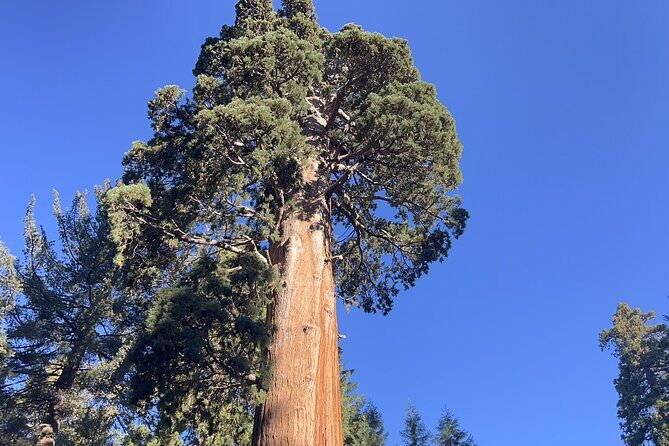 Transformative Outdoor Day Retreat Among the Giant Sequoias - Key Points