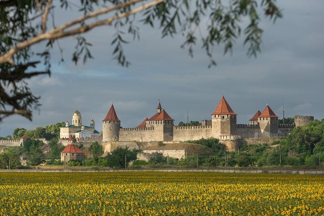 Transnistria Tour from Chisinau Explore Soviet Time Capsule - Why Choose This Tour?