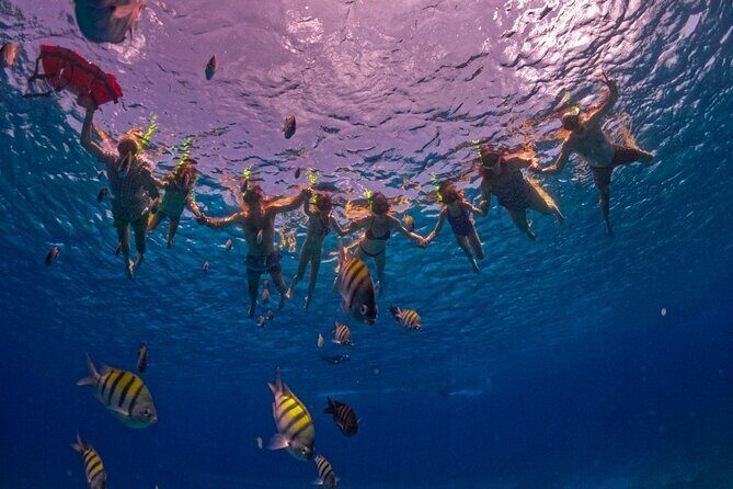 Transparent Boat Tour in Cozumel: See Marine Life Up Close - An In-Depth Look at the Cozumel Transparent Boat Tour